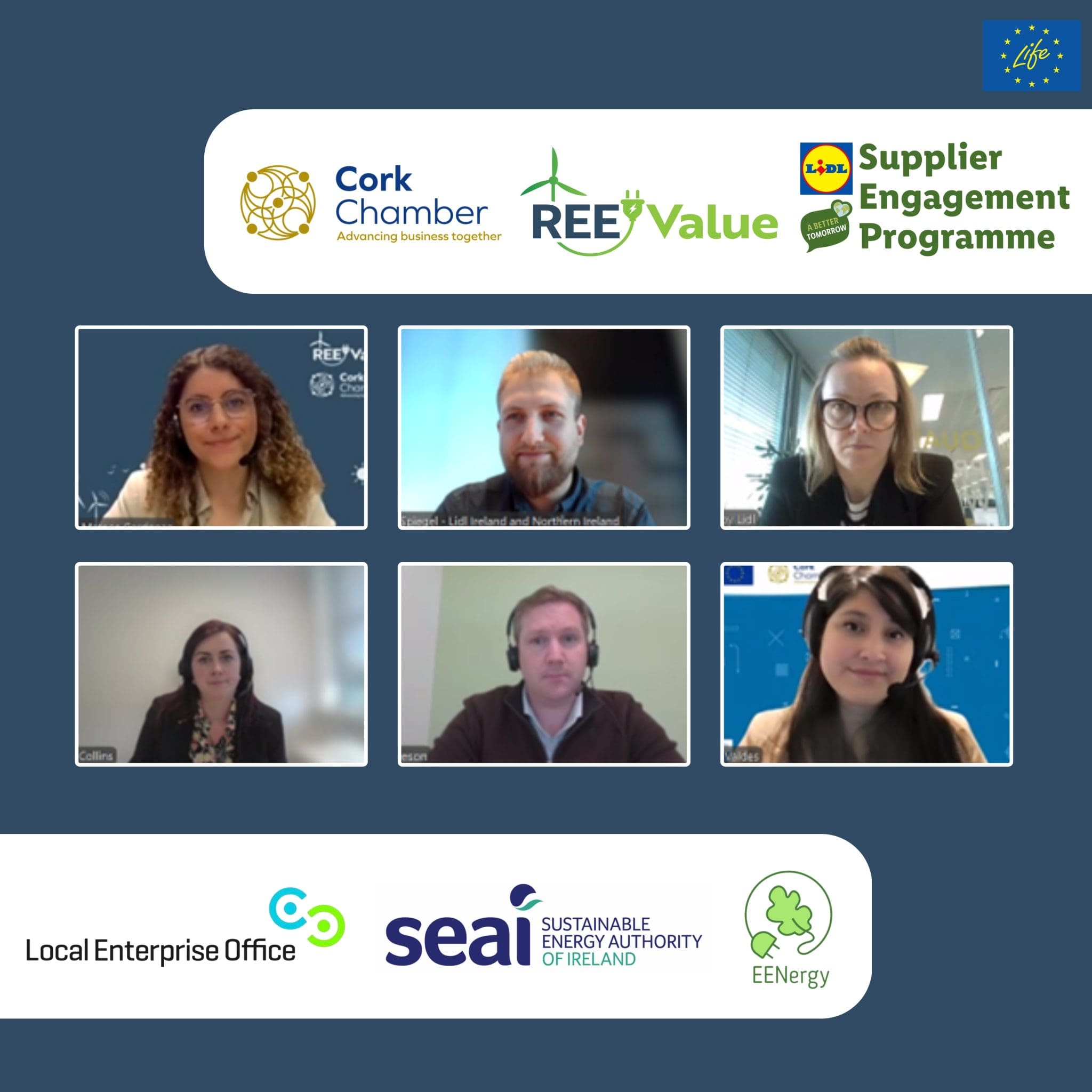 Empowering Suppliers to Access Green Funding in Collaboration with Lidl ...